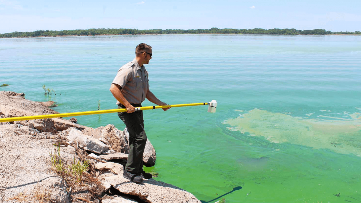 Harmful Algal Bloom Demonstration Program - ERDCWERX